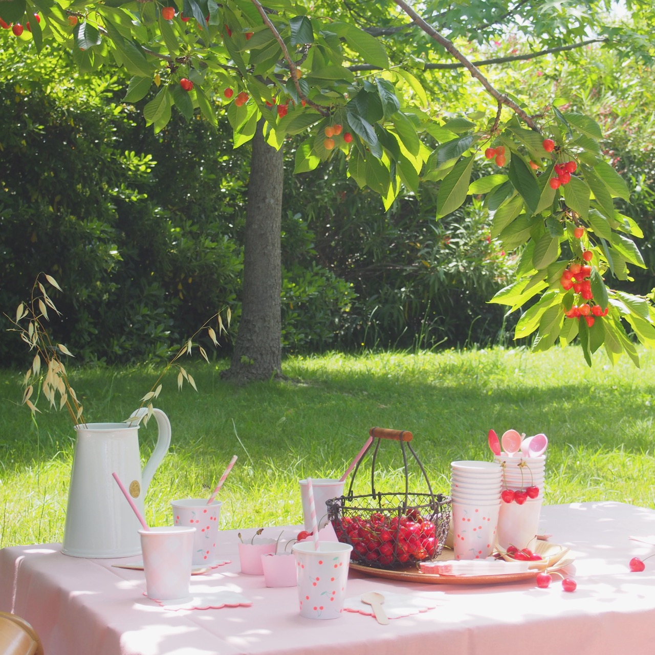 Passion fruits rouges - Rose Caramelle - Scénographie & ateliers créatifs